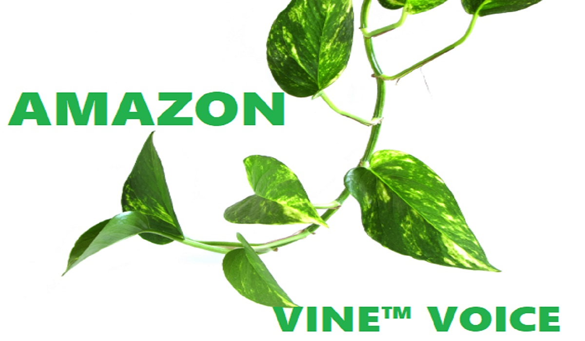 Amazon Vine Review 2019: Legit or Scam – 9 to 5 Work Online